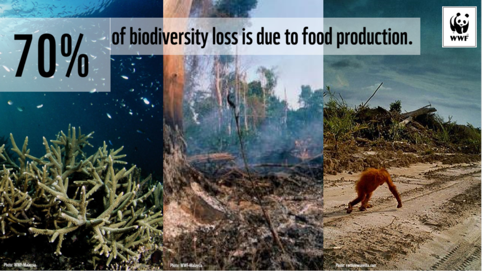 Fighting Food Loss and Waste