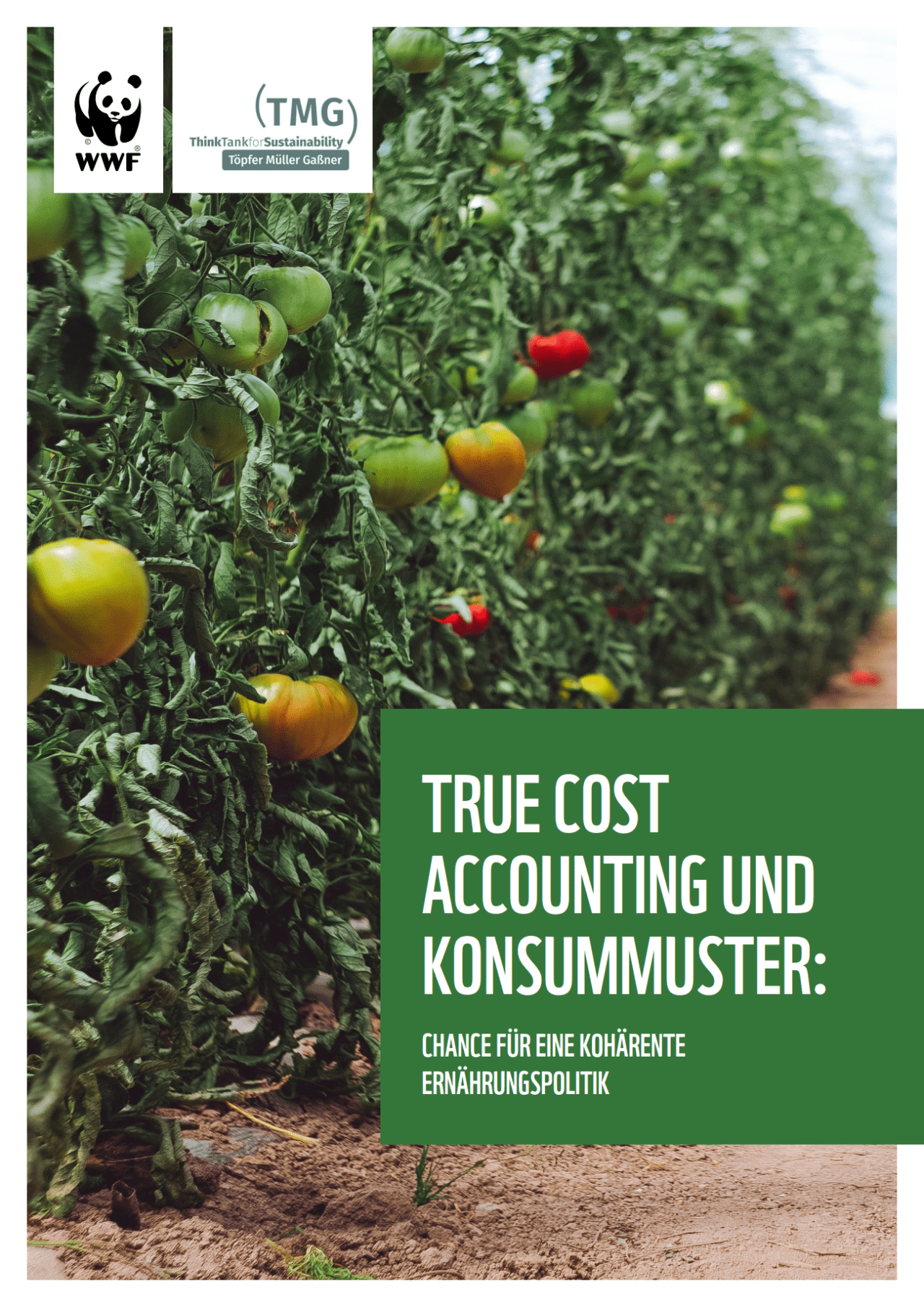 The True Costs of Food • WWF-SCP